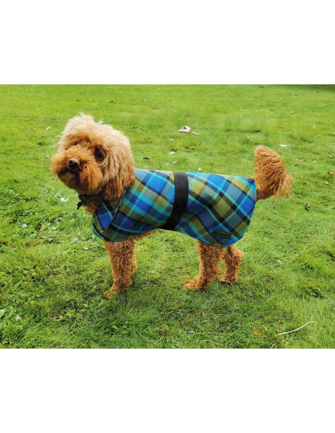 NLA Westfalia Blue Plaid Material Dog Coat Double Sided with Waterproof ...
